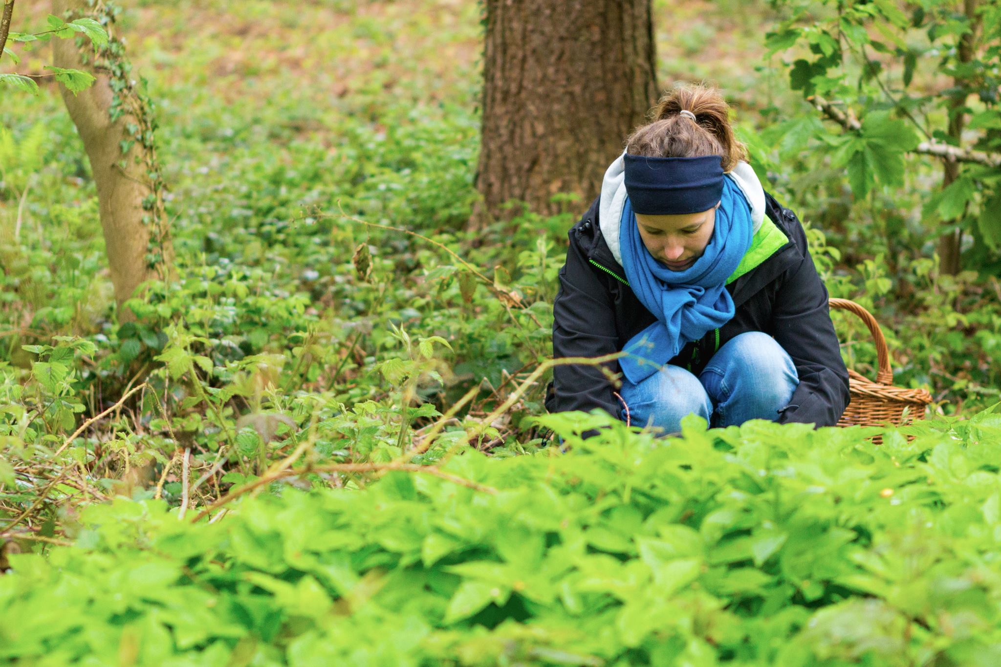 10 conseils pour une cueillette douce, sûre et respectueuse - Cuisine ...