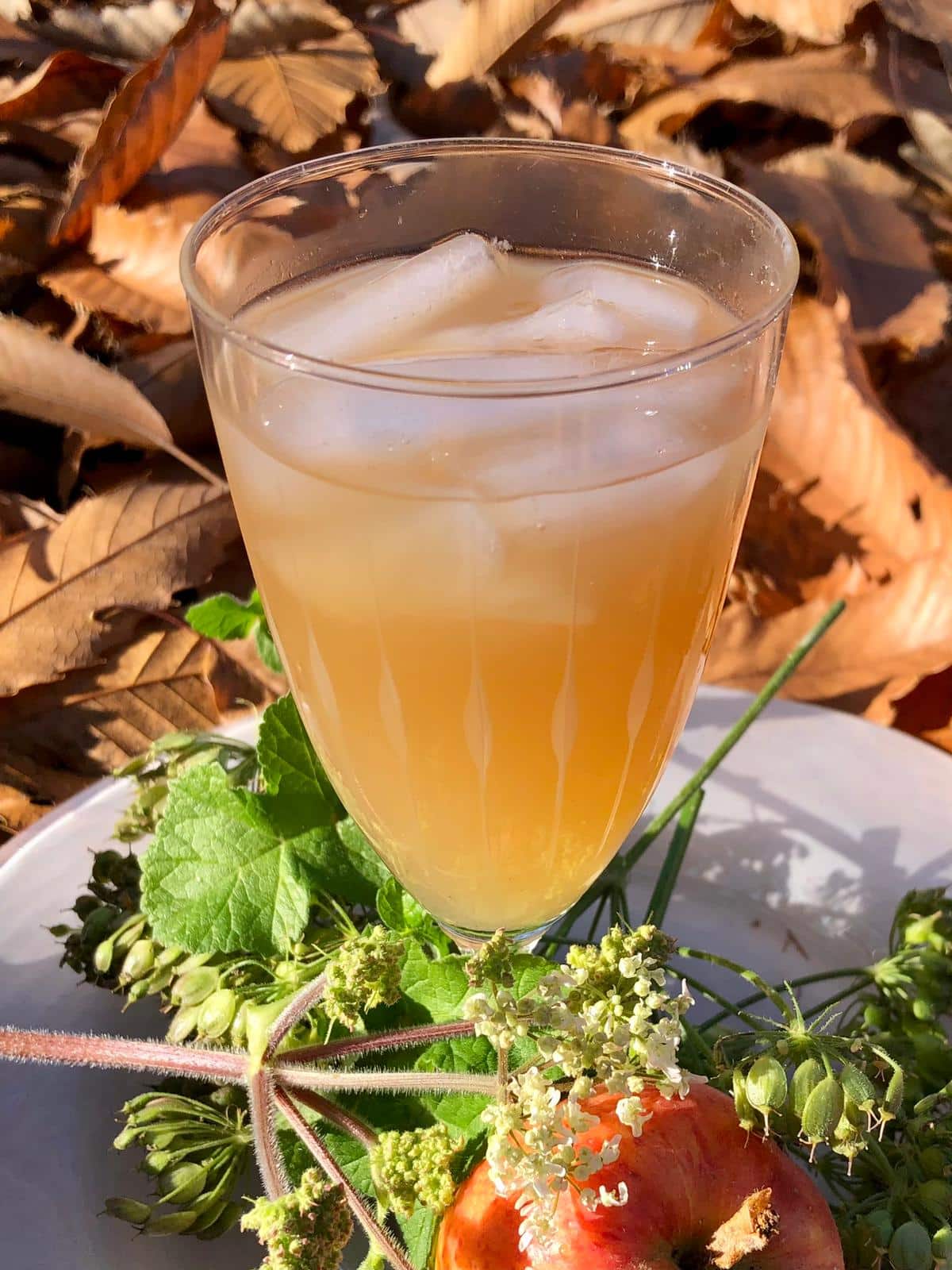 Boisson berce pommes - Cuisine Sauvage ASBL